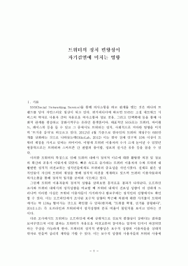 트위터의 특징,트위터 정치적 이슈,소셜미디어, SNS특성,SNS는 스마트폰과의 결합,리트윗 기능 트위터,트위터의 이용현황과 영향력-1페이지