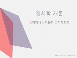 정치의식·정치문화·정치사회화,정치의식의 유형,정치문화와 정치의식-1페이지