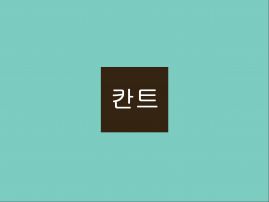 칸트의 교육사상,칸트의 철학,칸트의 종교철학,칸트의 생애,인식론,윤리학,칸트 철학의 영향-1페이지