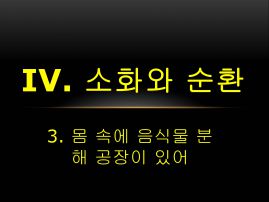 소화와 순환,영양소란,영양소의 분류,영양소를 분류하는 기준은,소화계의 구성과 소화과정,소화과정-1페이지