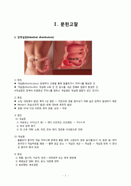 게실염 케이스 -1페이지