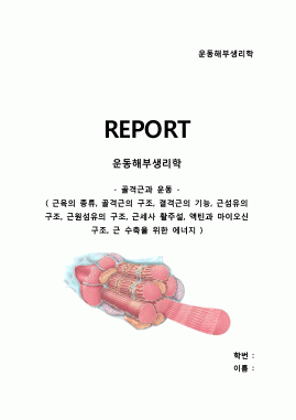  운동해부생리학 - 골격근과 운동 ( 근육의 종류, 골격근의 구조, 결격근의 기능, 근섬유의 구조, 근원섬유의 구조, 근세사 활주설, 액틴과 마이오신 구조, 근 수축을 위한 에너지 )-1페이지