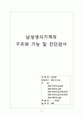 [성인간호학] 남성생식기계 구조와 기능 및 진단검사-1페이지