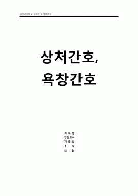 성인간호학)기본간호학) 상처간호 욕창간호-1페이지