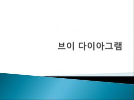 브이다이어그램과 개념도-1페이지