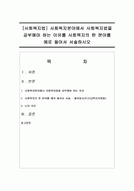 [사회복지법] 사회복지분야에서 사회복지법을 공부해야 하는 이유를 사회복지의 한 분야를 예로 들어서 서술하시오 [사회복지법]-1페이지