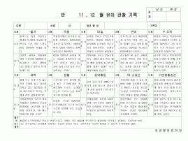 (만5세 관찰일지)만5세 11월, 12월 관찰일지 20명 분량입니다.-1페이지