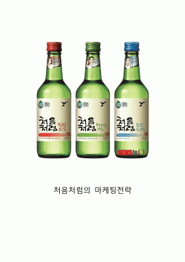 처음처럼 브랜드현황분석, 처음처럼 마케팅전략분석과 성공요인, 처음처럼 미래전략제안-1페이지