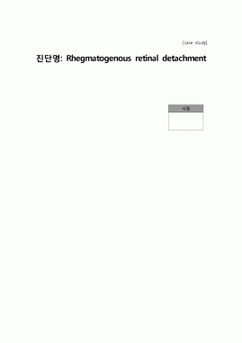 [성인] 망막박리[Rhegmatogenous retinal detachment(RRD)] 문헌고찰 및 간호과정-1페이지