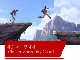 캐즘 마케팅사례[Chasm Marketing Case]-1페이지