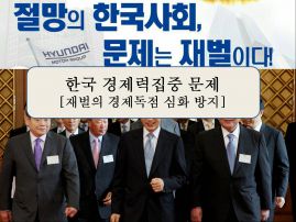 한국 경제력집중 문제 [재벌의 경제독점 심화 방지]-1페이지