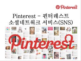 Pinterest - 핀터레스트 소셜네트워크 서비스(SNS)-1페이지