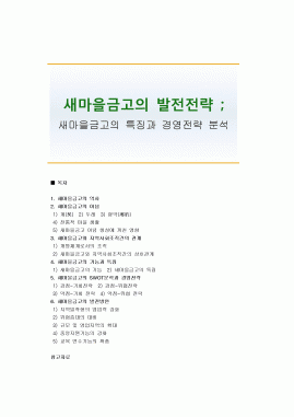 [새마을금고 경영전략] 새마을금고의 발전전략 ; 새마을금고의 특징과 경영전략 분석-1페이지