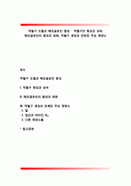 적혈구 조혈과 헤모글로빈 합성 - 적혈구의 형성과 성숙, 헤모글로빈의 합성과 퇴화, 적혈구 생성과 관련된 주요 영양소-1페이지