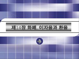 제14장 화폐, 이자율과 환율 -1페이지