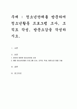 청소년단체를 방문하여 청소년활동 프로그램 조사, 조직도 작성, 방문소감을 작성하시오-1페이지