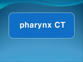 Pharynx CT에 관한 PPT자료-1페이지