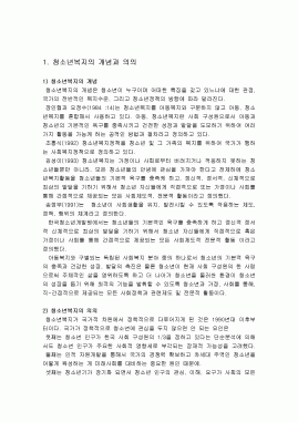 청소년복지의 개념과 의의, 청소년복지의 발전과정-1페이지