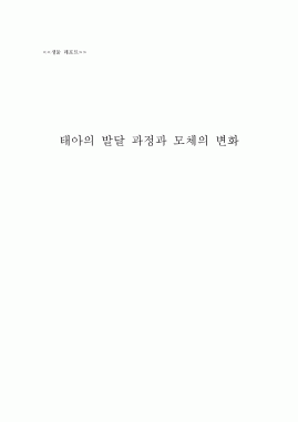 태아의 발달 과정과 모체의 변화를 간략하게 서술 및 정리-1페이지