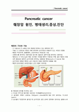 Pancreatic, cancer, 췌장암, 원인, 병태생리, 증상, 진단-1페이지