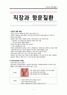 직장과 항문질환A++-1페이지