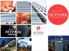 스카이파크 호텔.토종 호텔체인으로 우뚝서다 [HOTEL SKYPARK]-1페이지