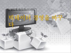 데이터 분석의 핵심!빅데이터 경영을 바꾸다 빅데이터의 개념.적용사례.주의사항-1페이지