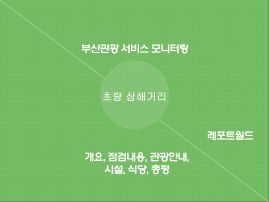 부산관광 서비스 모니터링 - 초량 상해거리 ( 개요, 점검내용, 관광안내, 시설, 식당, 총평 )-1페이지