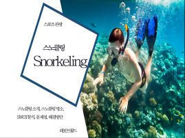 스포츠 관광 - 스노클링, Snorkeling ( 스노클링 소개, 스노클링 명소, SWOT분석, 문제점, 해결방안 )-1페이지