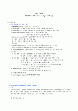 여성간호 분만실 NSVD case study(A+받은 자료)-1페이지