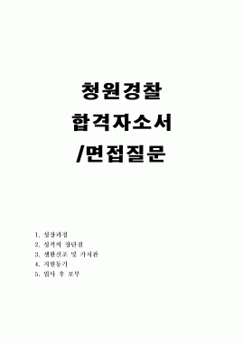 청원경찰자기소개서 청원경찰자소서+면접/은행경찰, 청원경찰공무원 자기소개서 공공기관청원경찰 자소서, 청원경찰 자기·소개서청원경찰자기소개서·kbs청원경찰 지원동기(청원경찰 자기소개서)-1페이지