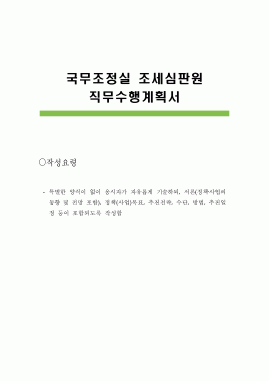 국무조정실 조세심판원 직무수행계획서-1페이지