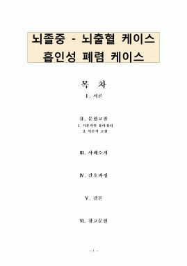 흡인성 폐렴 케이스 (현병력  뇌출혈) , 흡인성 폐렴 케이스, 폐렴 케이스, 폐렴 간호과정, 폐렴 case, 뇌출혈 케이스 스터디, 뇌출혈 사례연구-1페이지