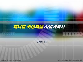 메디컬 위성방송채널 사업계획서 및 국내의료관광 현황-1페이지