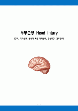 두부손상 Head injury (두부손상 정의, 두부손상 국소손상, 두부손상 손상에 따른 병태생리, 두부손상 임상증상, 두부손상 간호관리)-1페이지