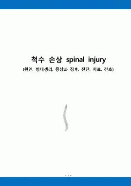 척추 손상 spinal injury (척추 손상 원인, 척추 손상 병태생리, 척수 손상 증상과 징후, 척수 손상 진단, 치료, 간호)-1페이지