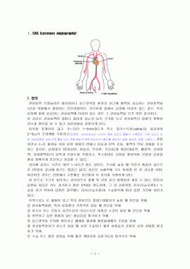 CAG 관상동맥 조영술, PTCA 경피적 관상동맥 성형술 A+-1페이지