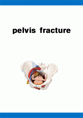 pelvis Fx 케이스 (pelvis fracture 케이스, 골반골절 케이스, 골반골절 간호과정, pelvis fracture 사례연구, pelvis fracture 간호과정, pelvis ramus Fx 케이스)-1페이지