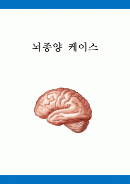 뇌종양 케이스-1페이지