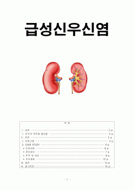 신우신염 케이스 스터디-1페이지