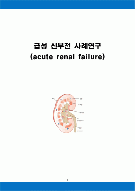 급성신부전 케이스 스터디 A+ (급성 신부전, 케이스 스터디, 간호과정, 급성신부전 사례연구, 급성신부전 CASE STUDY, acute renal failure CASE STUDY)-1페이지