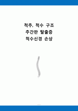 척추, 척수 구조 추간판 탈출증 척수신경 손상-1페이지