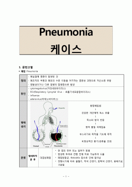Pneumonia 케이스-1페이지