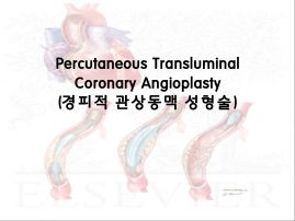 PTCA (경피적 관상동맥 성형술)-1페이지