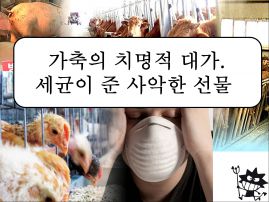 가축의 치명적 대가. 세균이 준 사악한 선물-1페이지