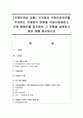 (국제인권법 공통) 국가에게 국제인권의무를 부과하는 국제법의 연원을 국제사법재판소 규정 제38조를 참조하여 그 유형을 설명하고 해당 예를 제시하시오 - 국제법-1페이지