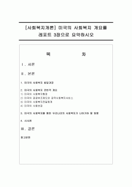 [사회복지개론] 미국의 사회복지 개요를 레포트 3장으로 요약하시오 (미국)-1페이지