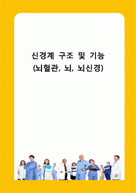 신경계 구조 및 기능 (뇌혈관, 뇌, 뇌신경)-1페이지