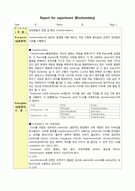 [미생물,생화학,약대실험] 유전형질의 전환 및 확인 (Transformation) 실험 (유전자재조합실험)-1페이지