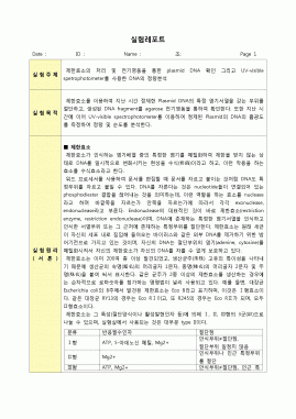 [생화학,약대실험] 제한효소 처리 및 전기영동을 통한 plasmid DNA 확인 그리고 UV-visible spetrophotometer를 사용한 DNA의 정량분석-1페이지